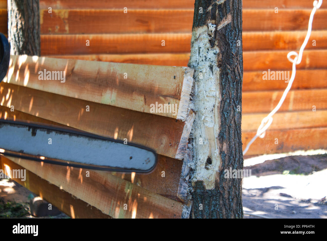 Chainsaw cutting wood on building site of outdoor shack Stock Photo - Alamy