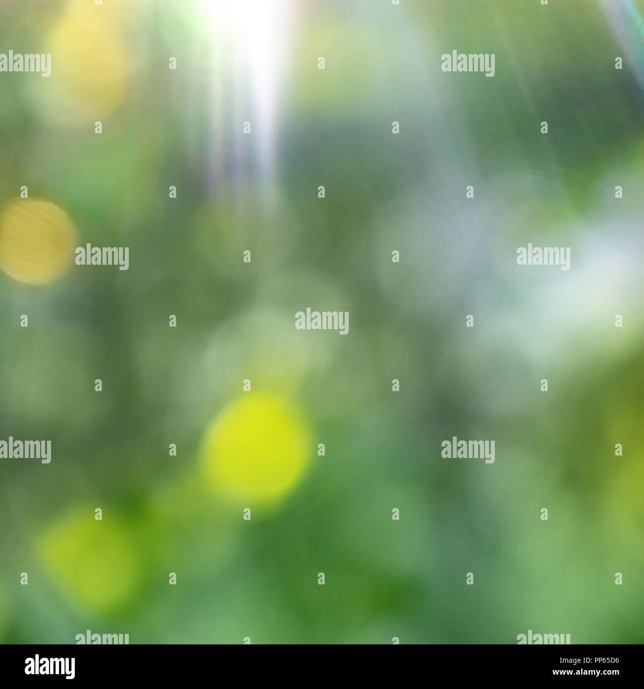 Glowing sun rays bokeh hi-res stock photography and images - Alamy