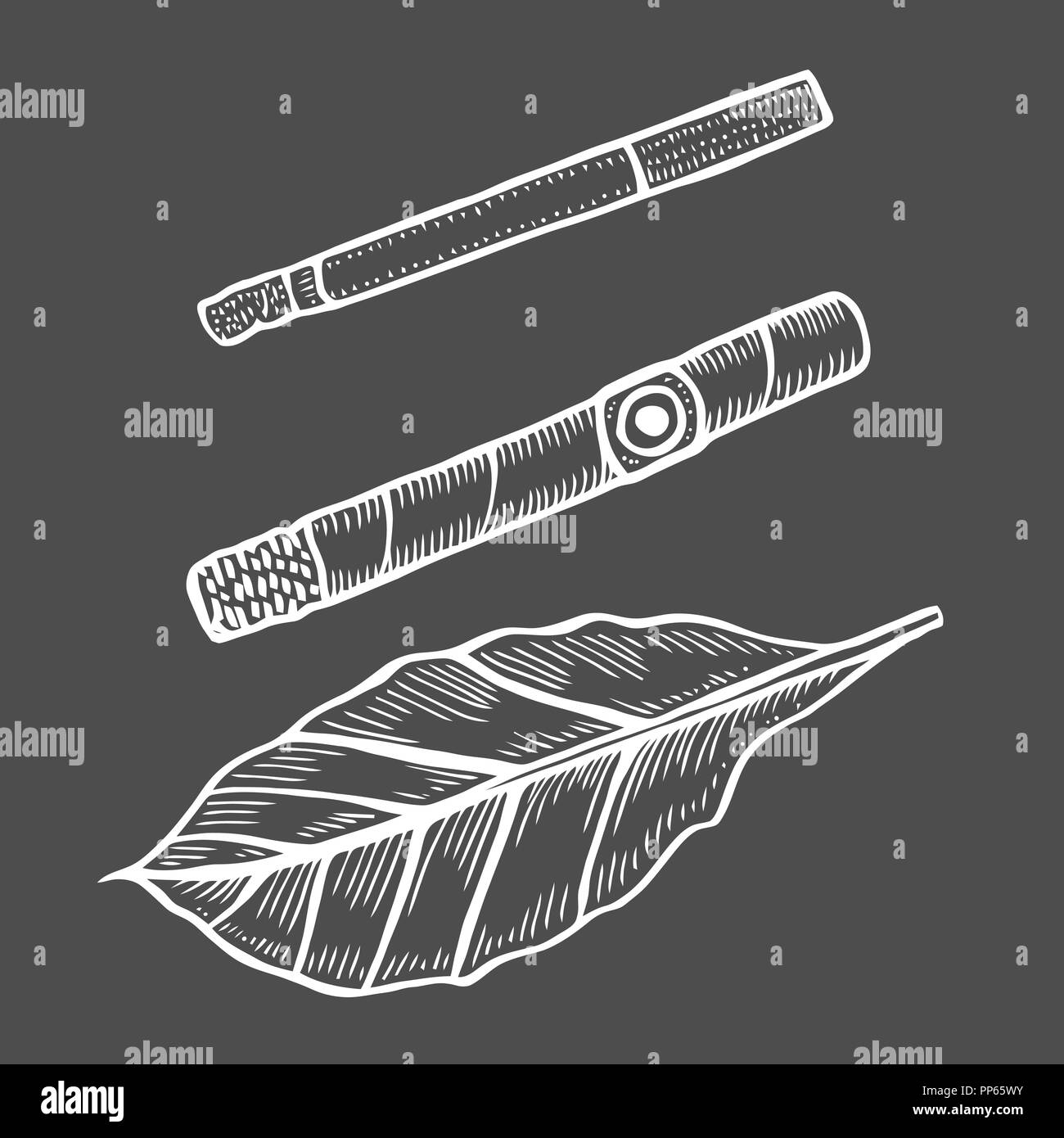 Cuban cigar line drawing hi-res stock photography and images - Alamy