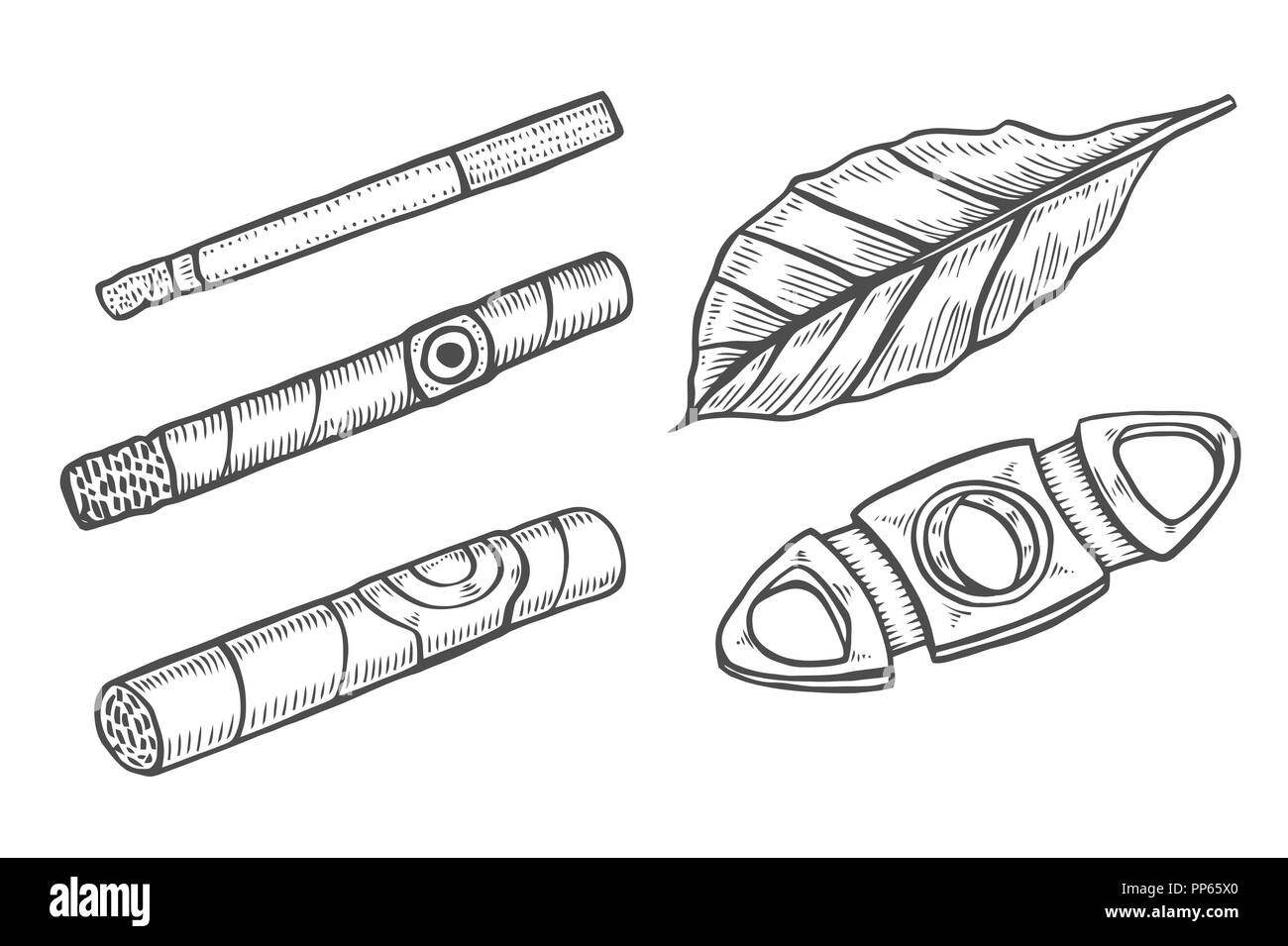 Cuban cigar line drawing hi-res stock photography and images - Alamy