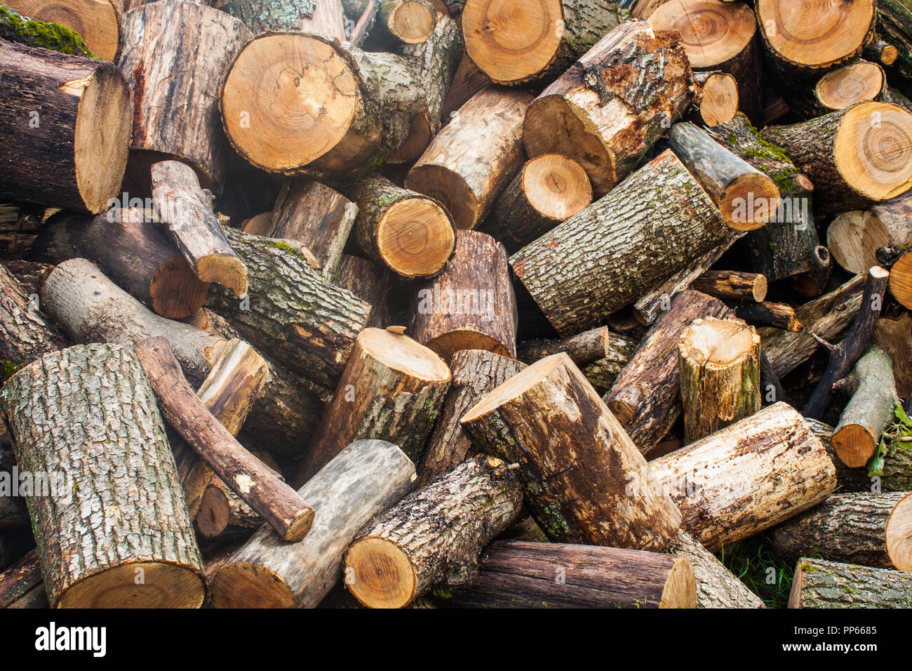 Woodpile of chopped lumber. Pile of wood logs. Stacked firewood timber ...