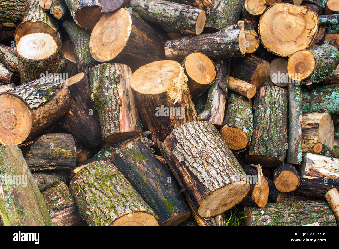 Woodpile of chopped lumber. Pile of wood logs. Stacked firewood timber ...