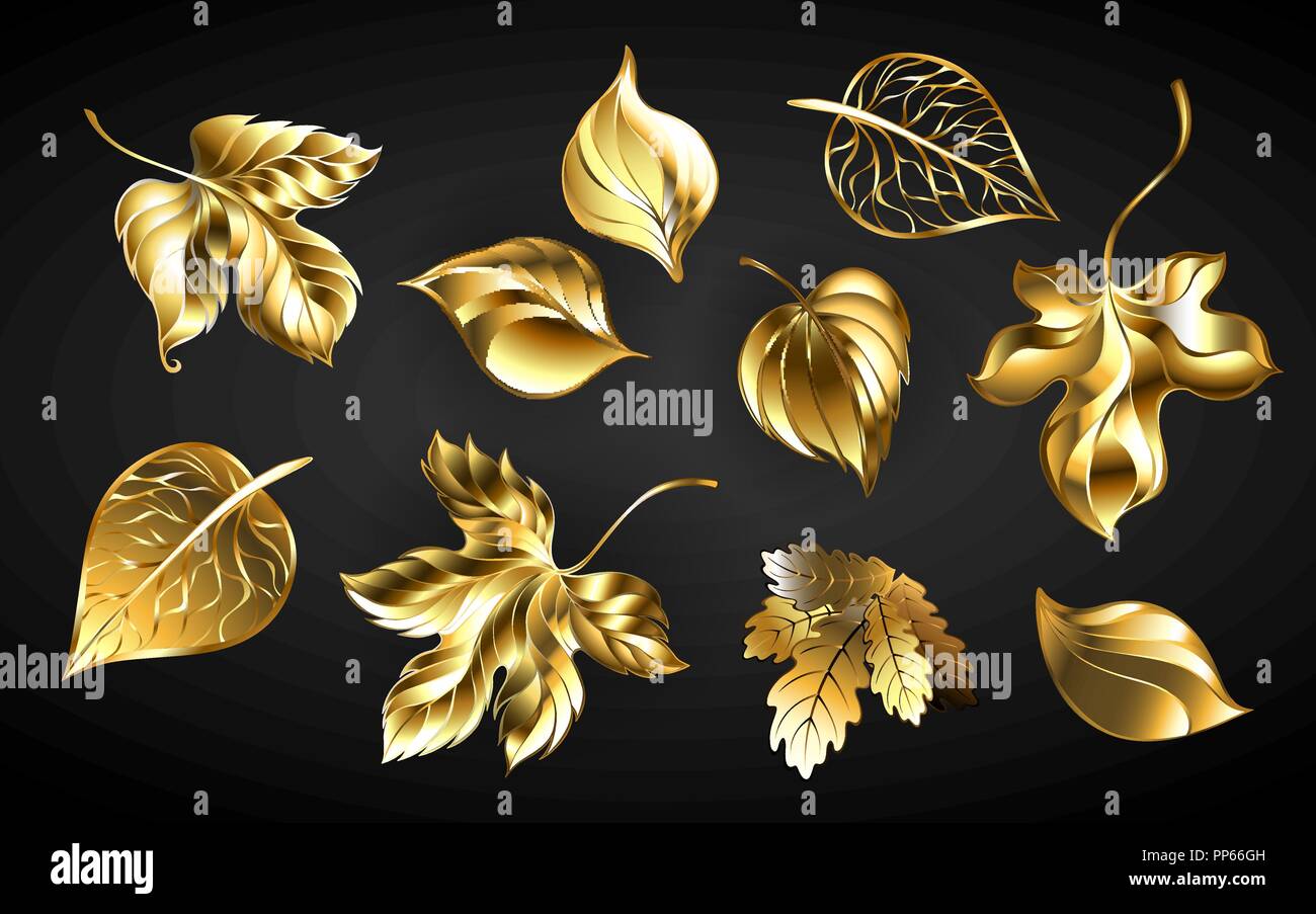 Gold leaf Stock Vector Images - Alamy