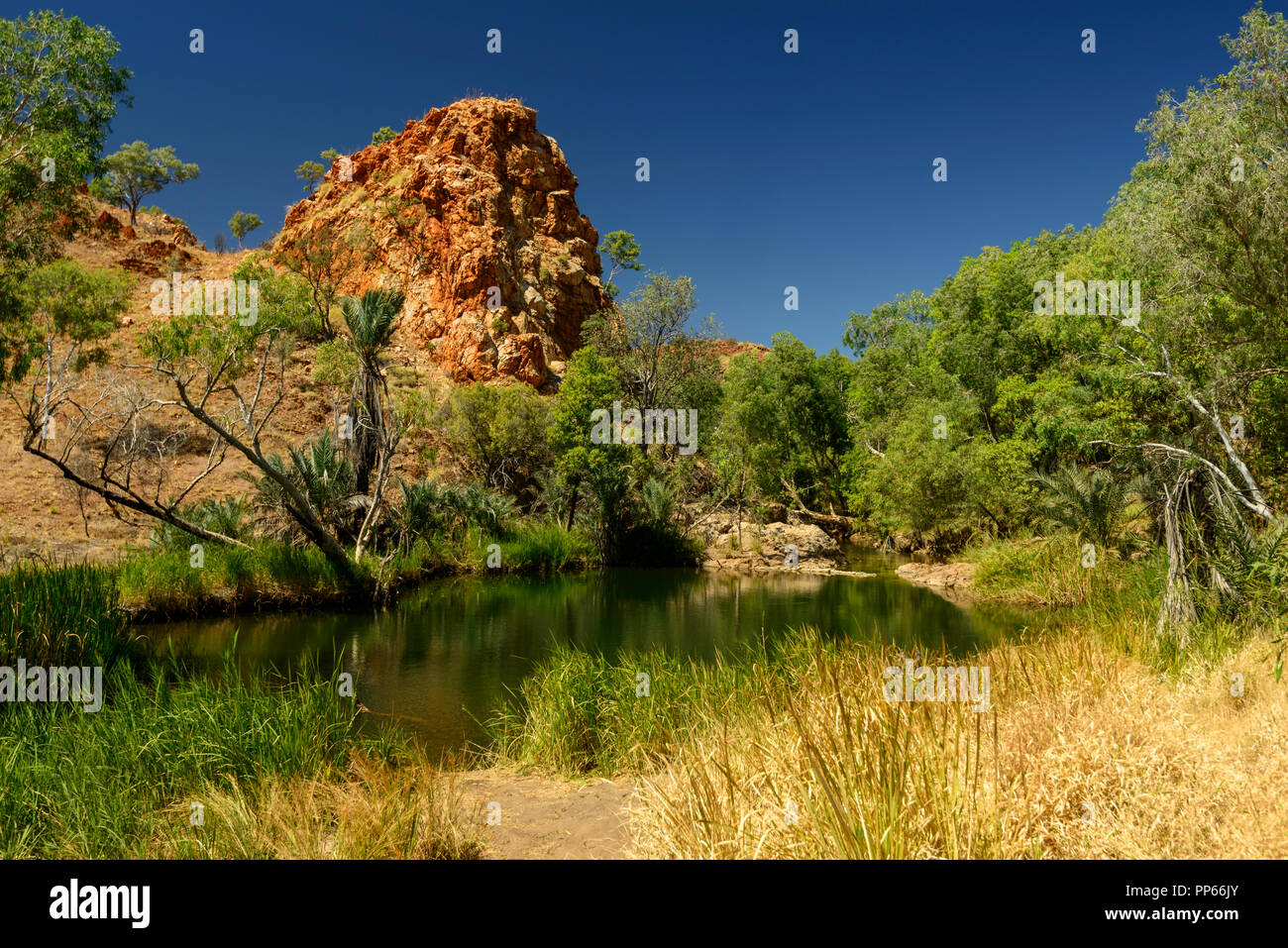 Palm Springs, Duncan Road, black elvire river, Ord River Western ...