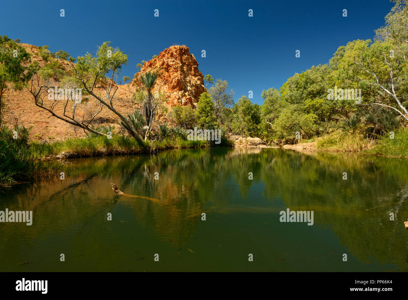 Ord river western australia hi-res stock photography and images - Alamy