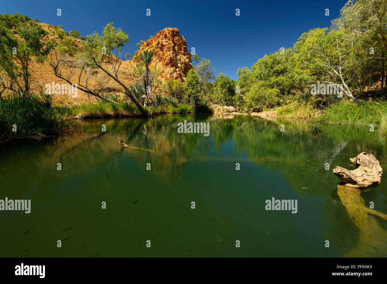 Black elvire river hi-res stock photography and images - Alamy