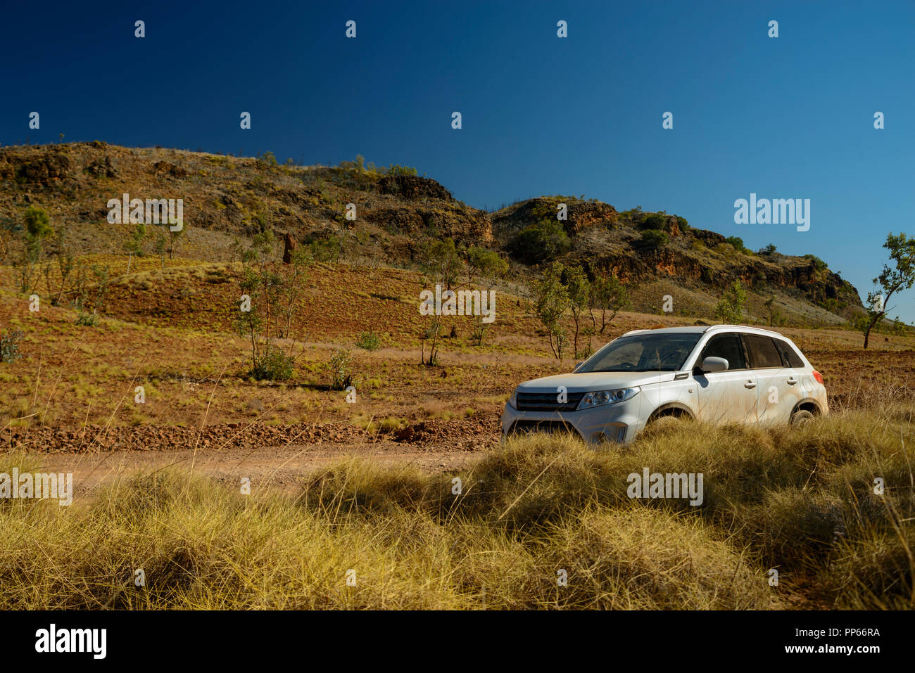 White SUV in the Outback, bushland, Australia Stock Photo - Alamy