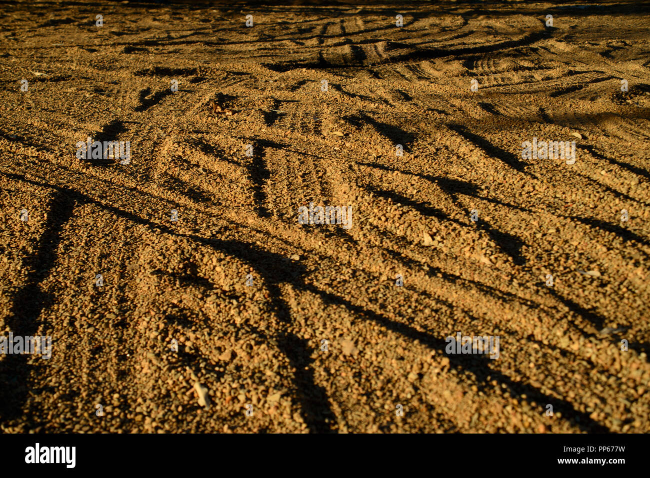 Wheel tracks in a sandy road, Western Australia , Australia Stock Photo ...