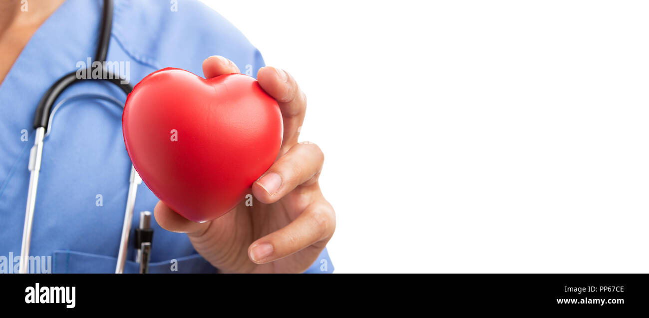 Closeup of woman cardiologist doctor hand holding red toy heart as ...