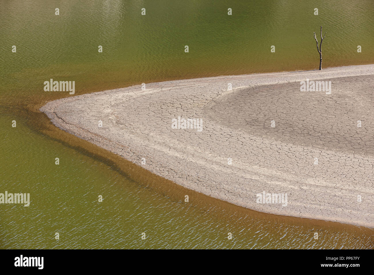 Drought. Lake and desert island with dry tree landscape. Spain Stock ...