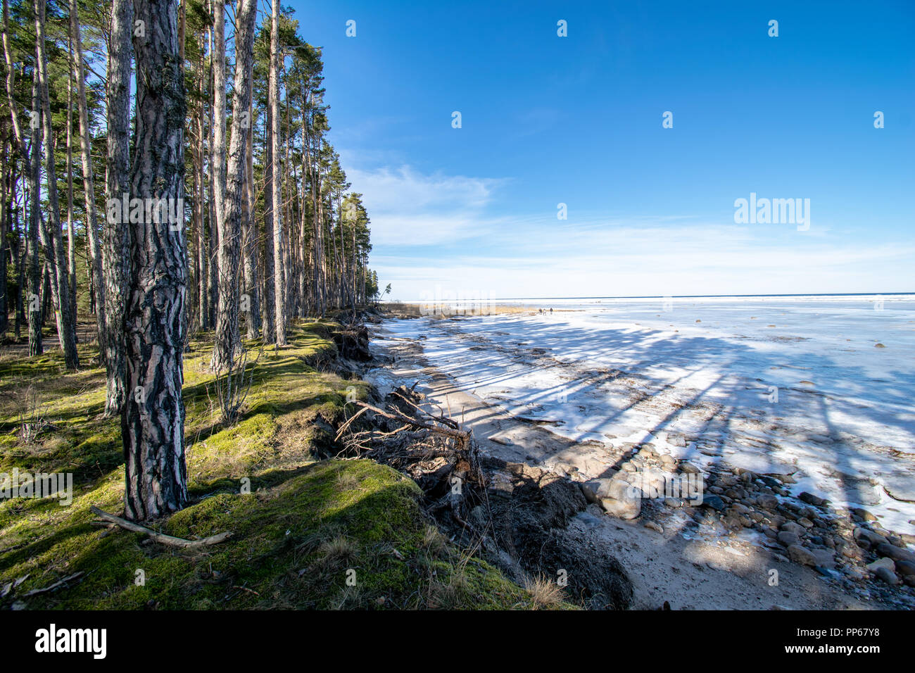 frozen lake shore in winter with footsteps in the snow and ice blocks ...