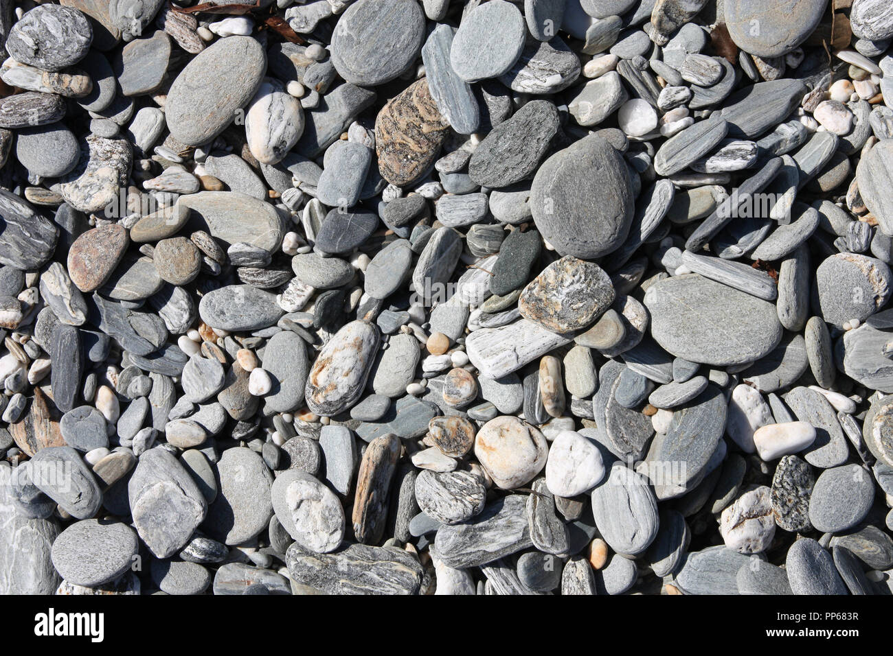 Pebbly beach background. Grey pebbles abstract texture Stock Photo - Alamy