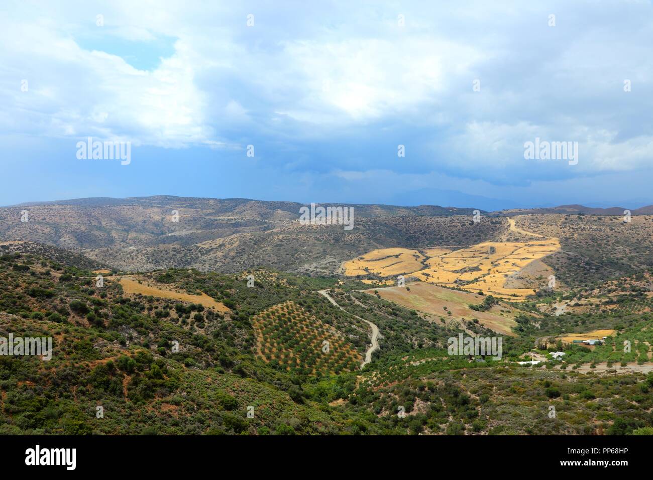 Landscape of Crete island in Greece. Olive tree groves, hills and ...
