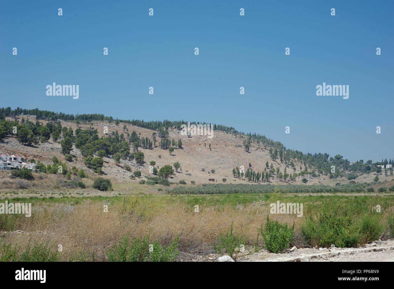 landscape North Israel Stock Photo - Alamy