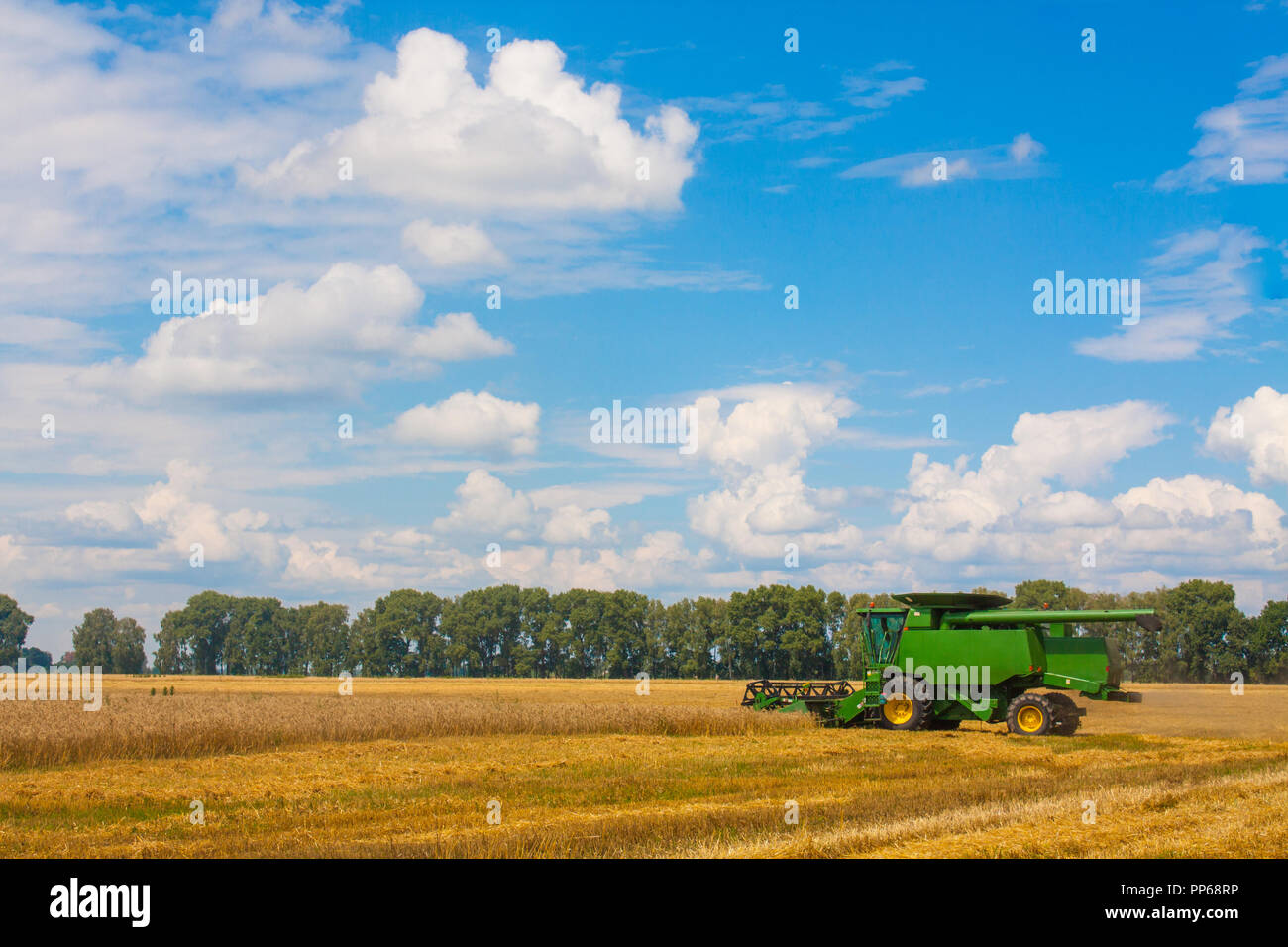 Combine harvesting Wheat plants in the field Stock Photo - Alamy
