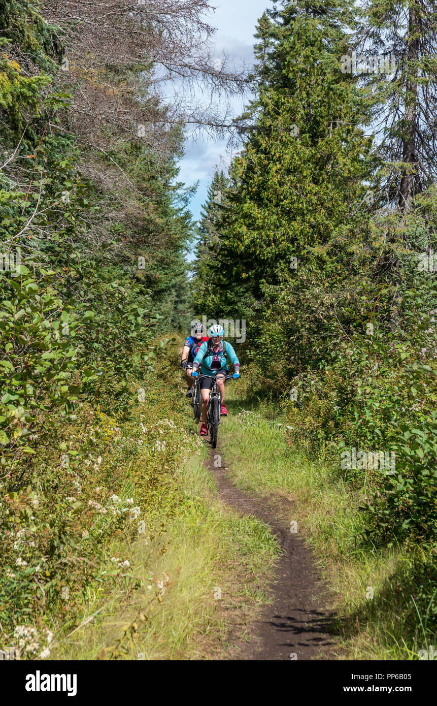 Bog trail hi-res stock photography and images - Alamy
