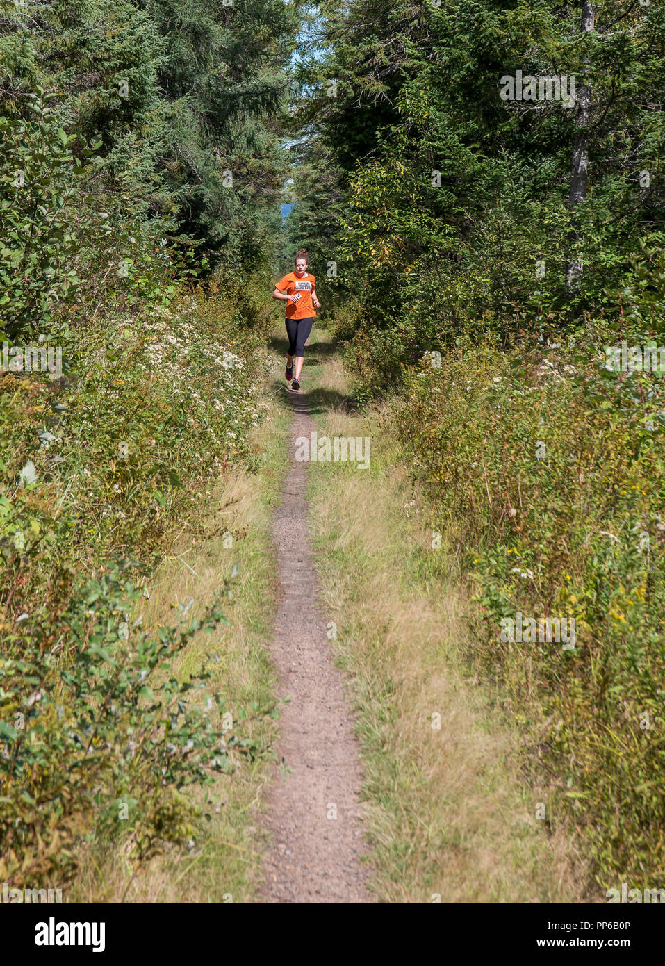 Bog trail hi-res stock photography and images - Alamy