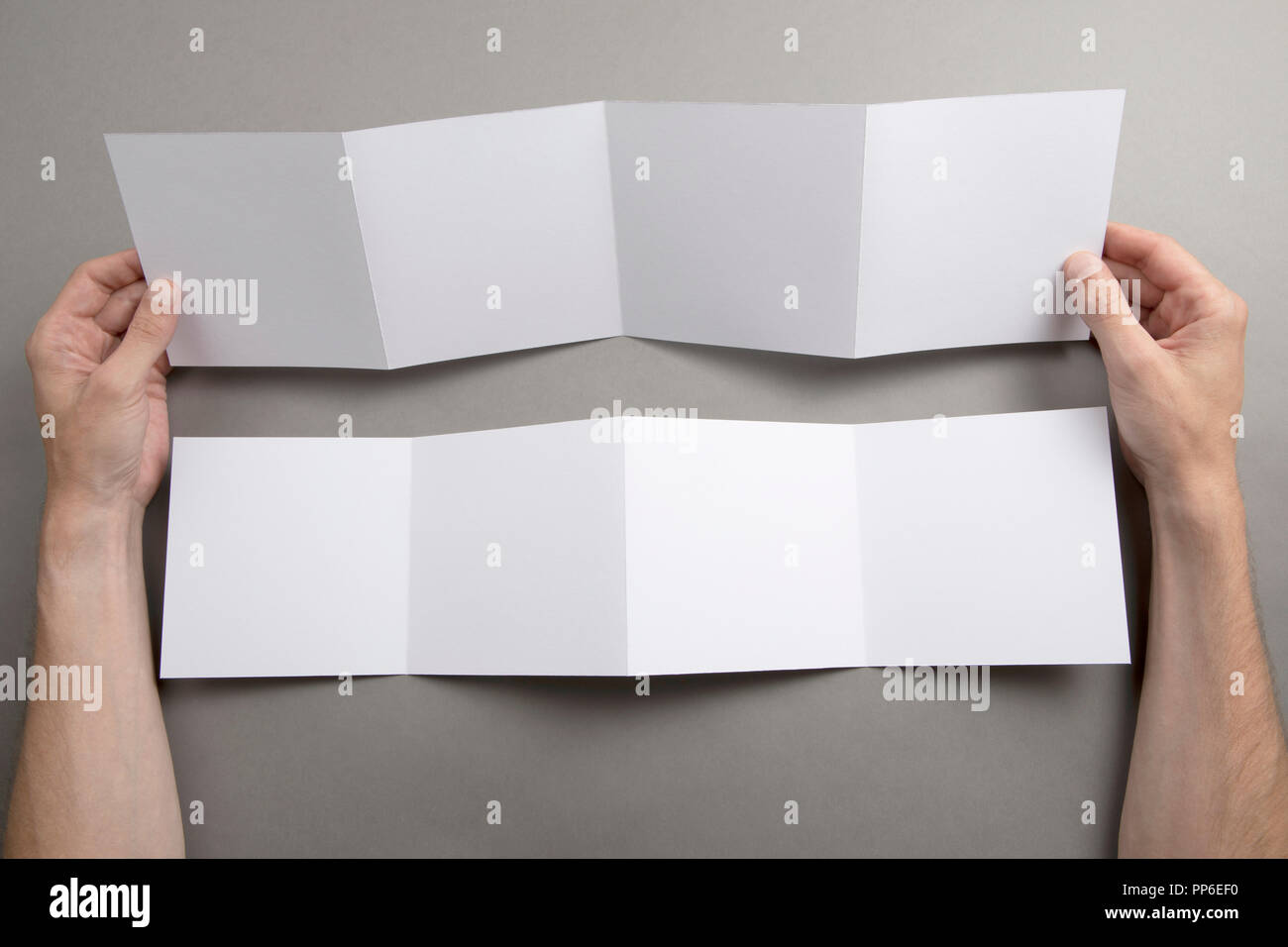 Mens hands holding empty white booklet on gray background. View from ...