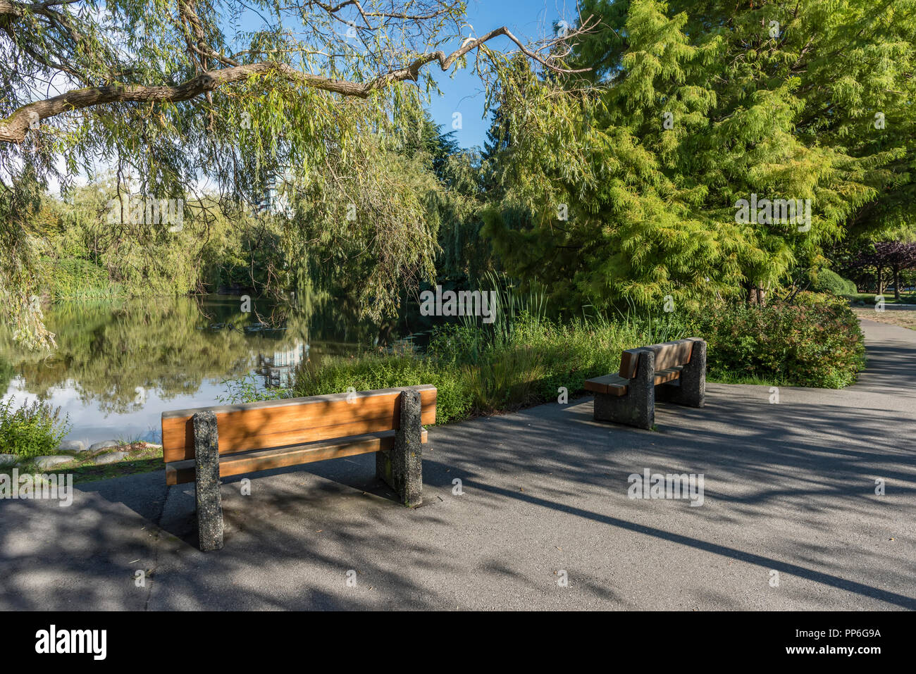 bench by the pond with the reflection of a multi-story building on a ...