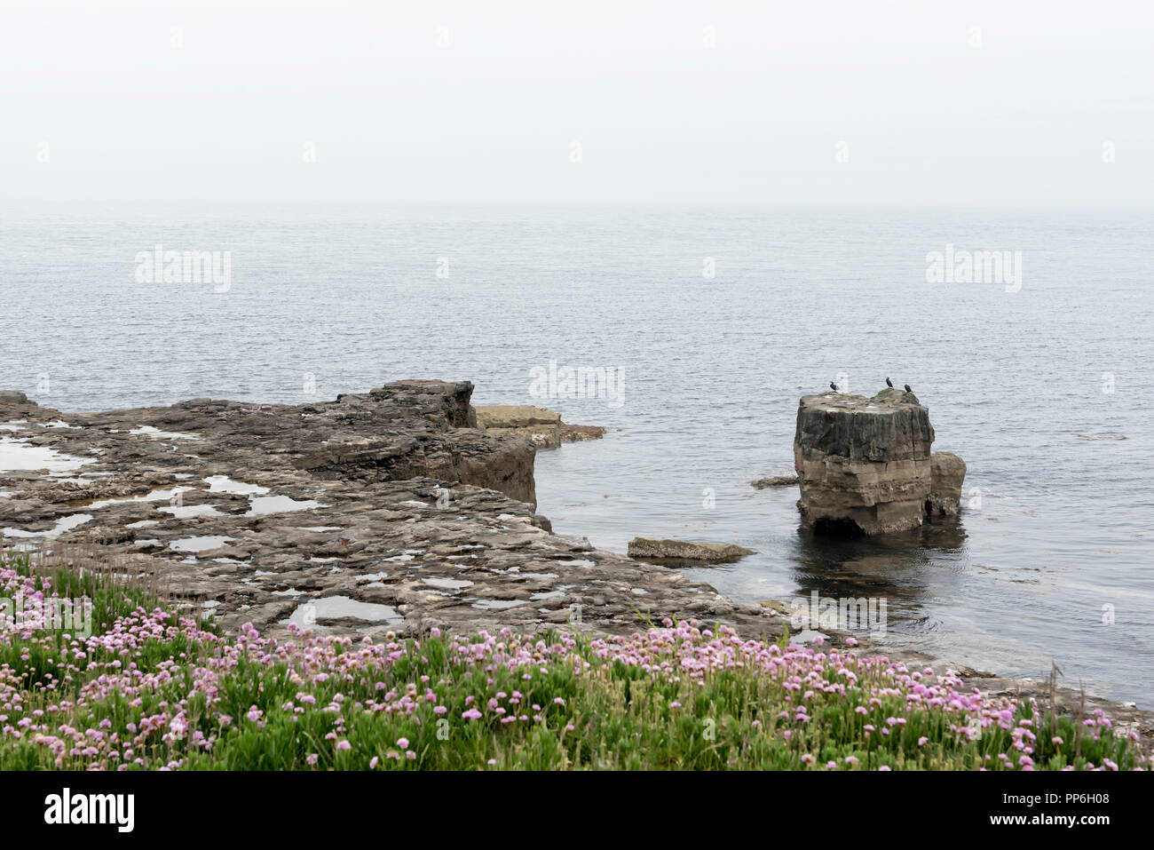 Lesdges hi-res stock photography and images - Alamy