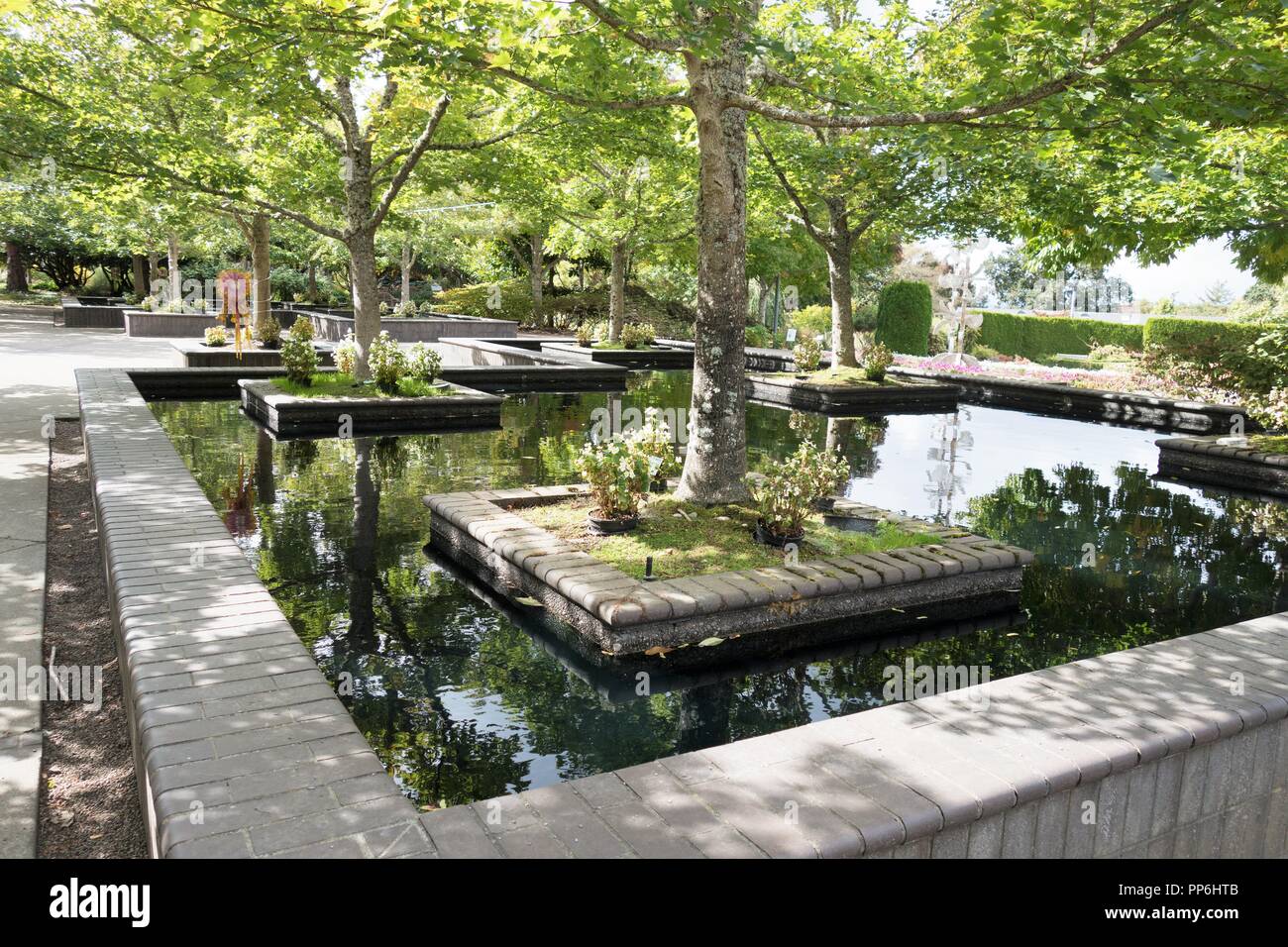 The bosque at the Oregon Garden in Silverton, Oregon, USA Stock Photo ...