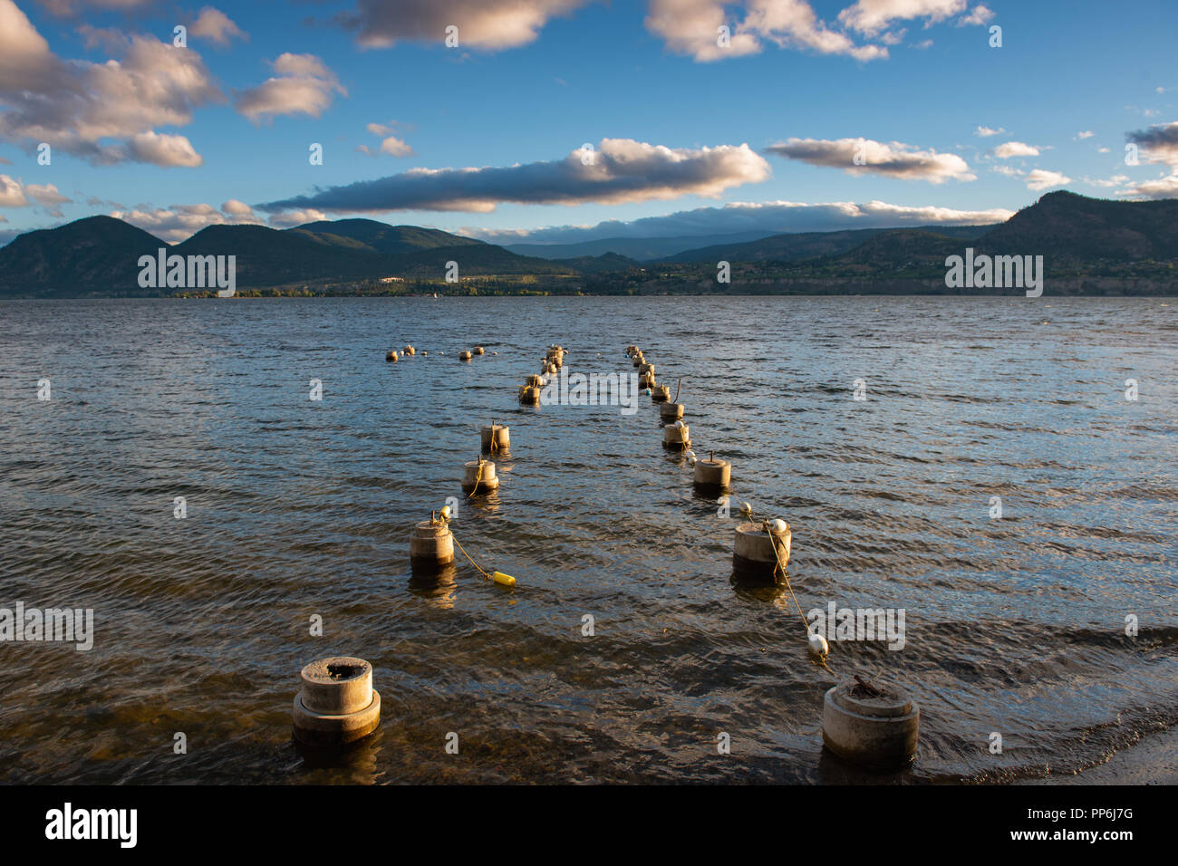 Dock pilings sticking out from the water of beautiful Okanagan Lake BC ...