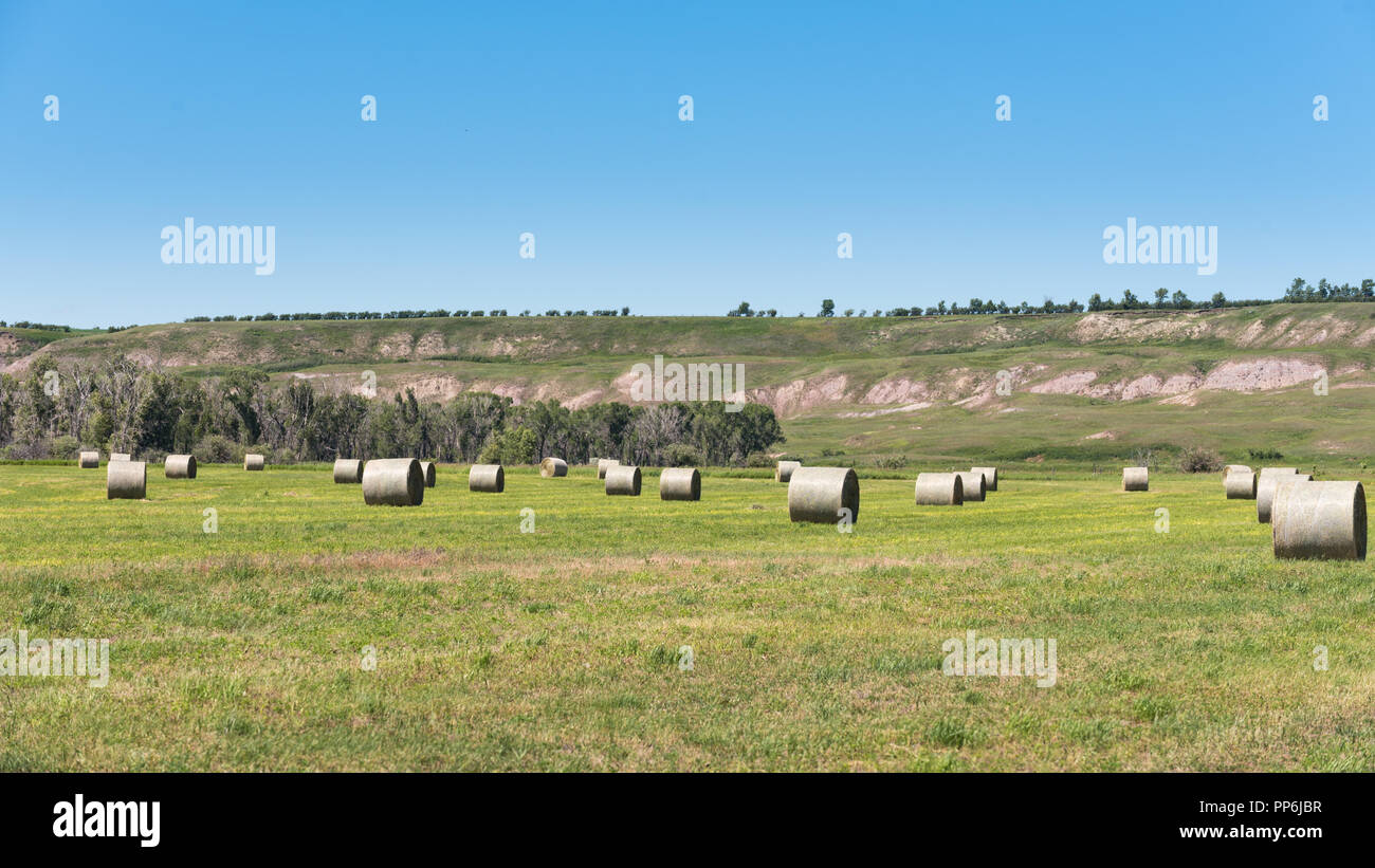 Haybales and rural farmland in the prairies of Southern Alberta Canada ...