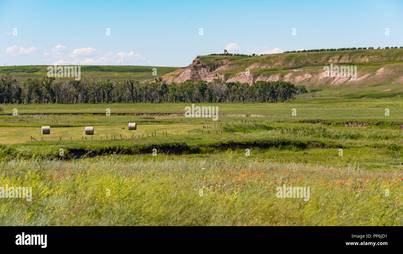 Haybales and rural farmland in the prairies of Southern Alberta Canada ...