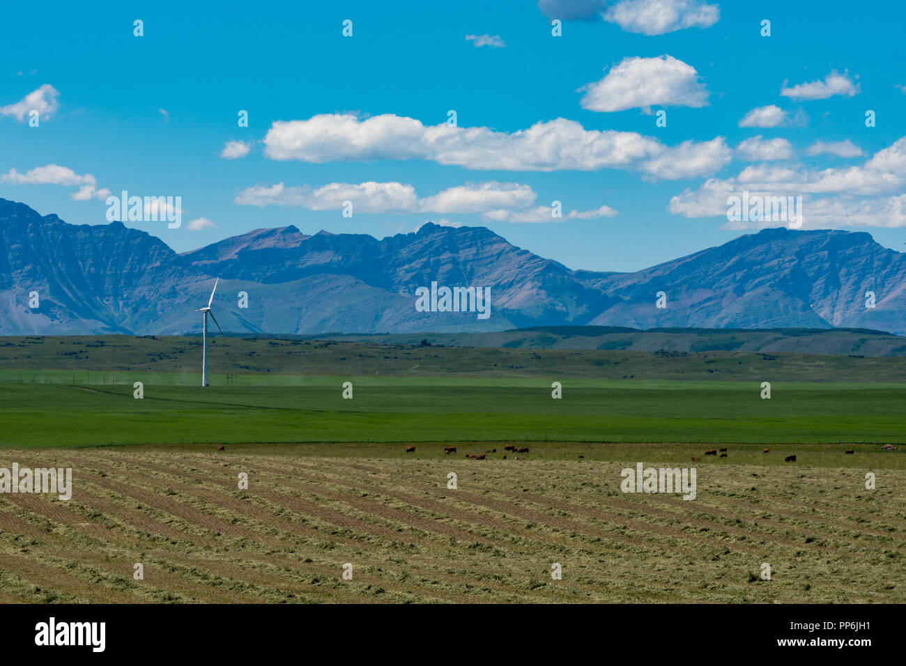 Beautiful scenery of farmland in the foothills of Alberta Canada, with ...