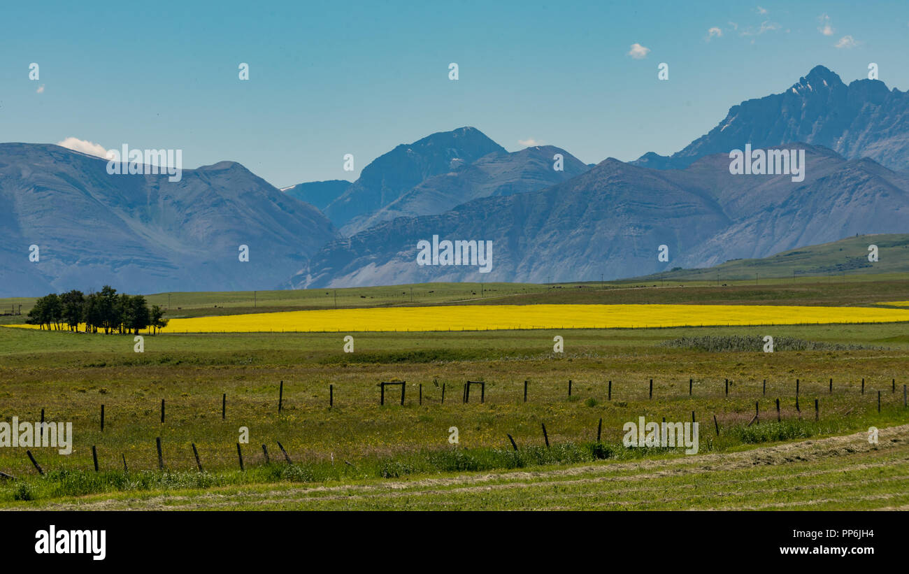 Beautiful scenery of farmland in the foothills of Alberta Canada, with ...
