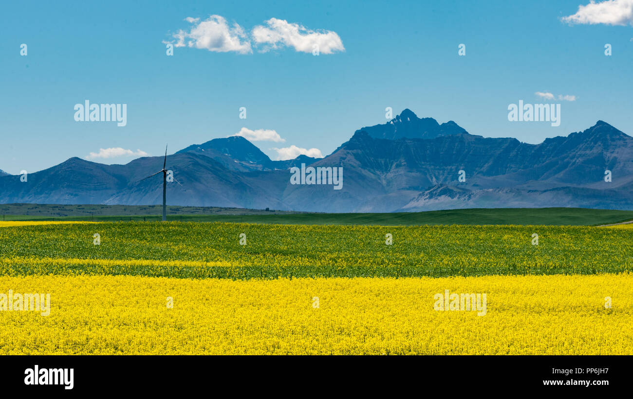 Beautiful scenery of farmland in the foothills of Alberta Canada, with ...