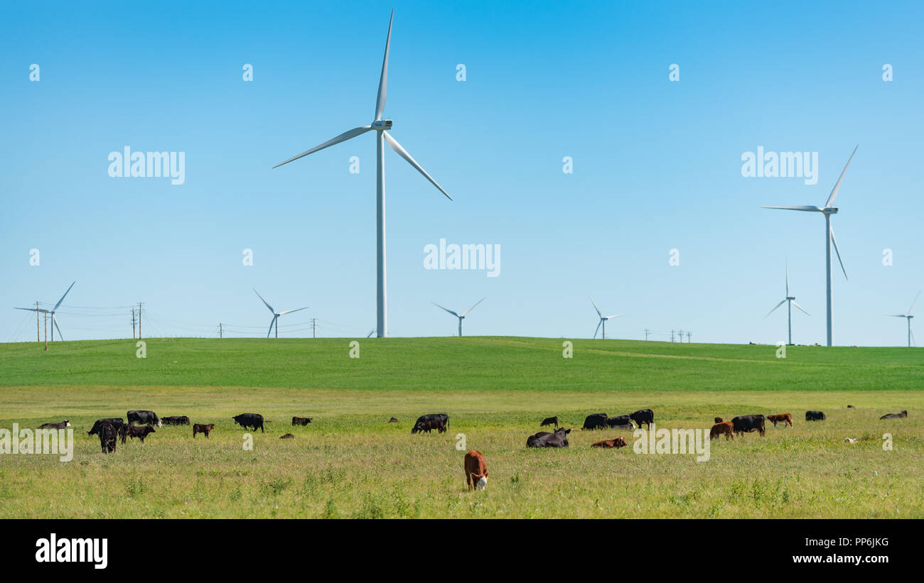 Windmill cattle country hi-res stock photography and images - Alamy