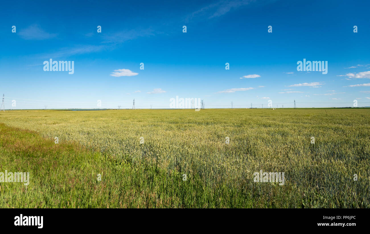 Beautiful scenery of farmland in the foothills of Alberta Canada, with ...