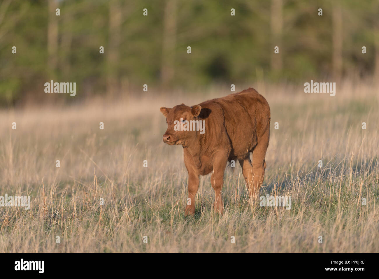 Country farm rural canada hi-res stock photography and images - Alamy