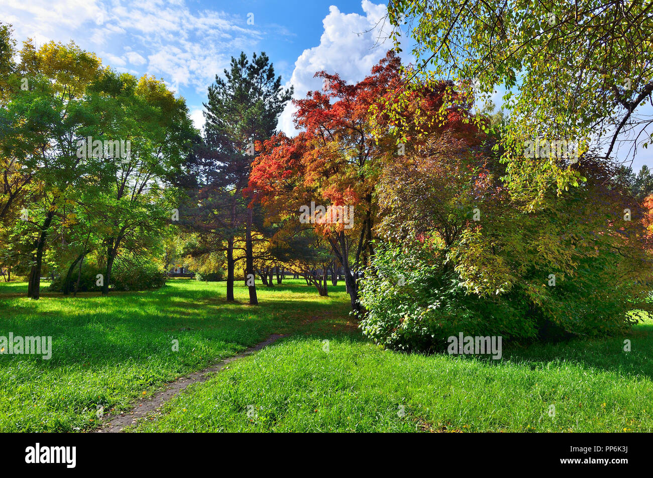Cozy Corner of autumn city park with path through lawn between trees ...