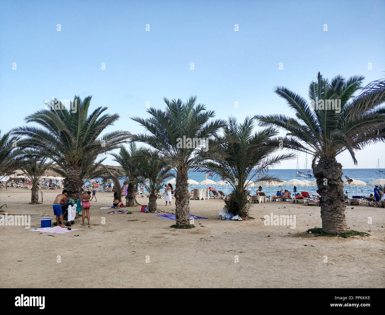 Mediterranean pebble beach palm trees hi-res stock photography and ...