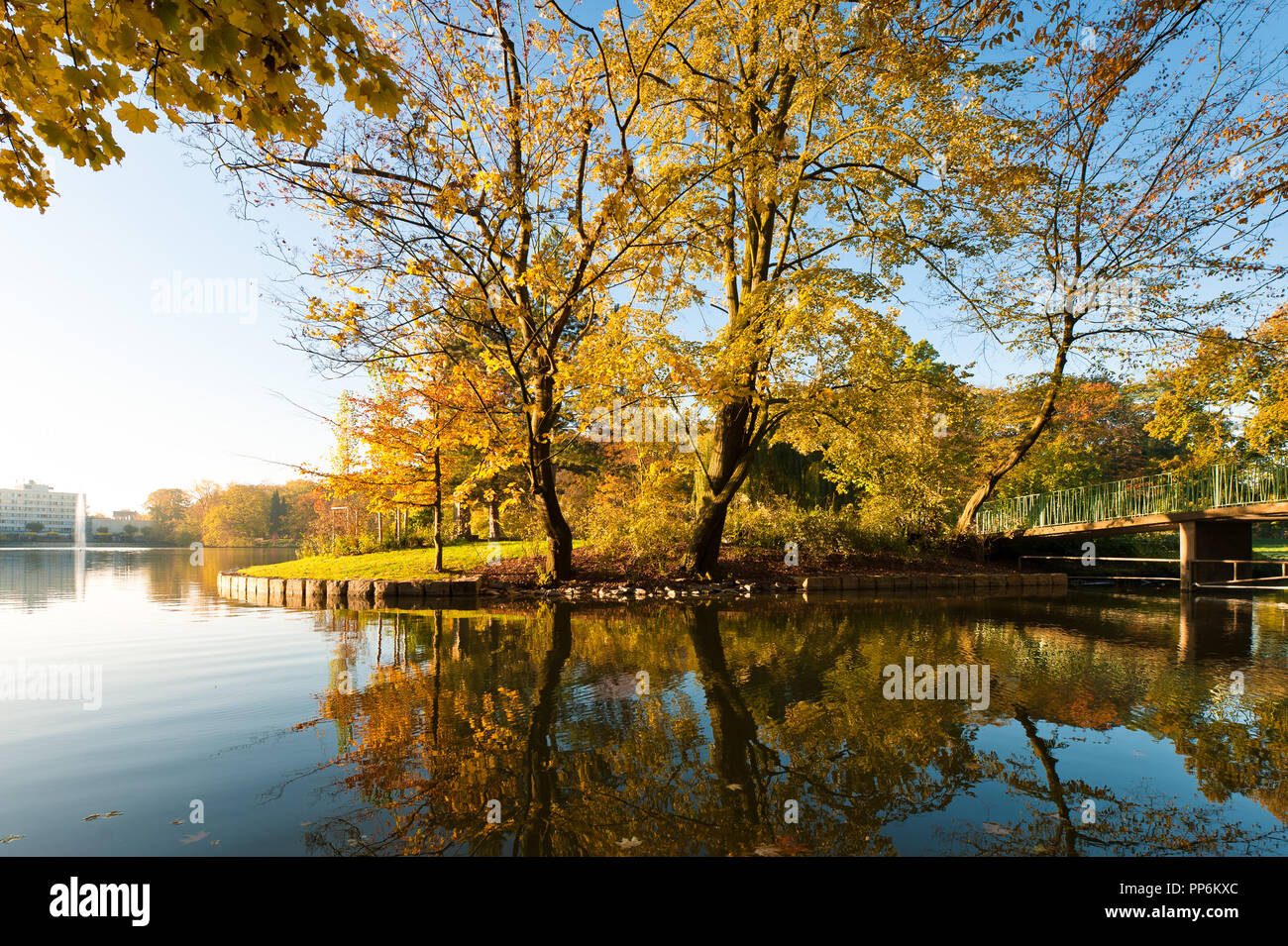 Autumn colors at lake Kahnweiher in Cologne Stock Photo - Alamy