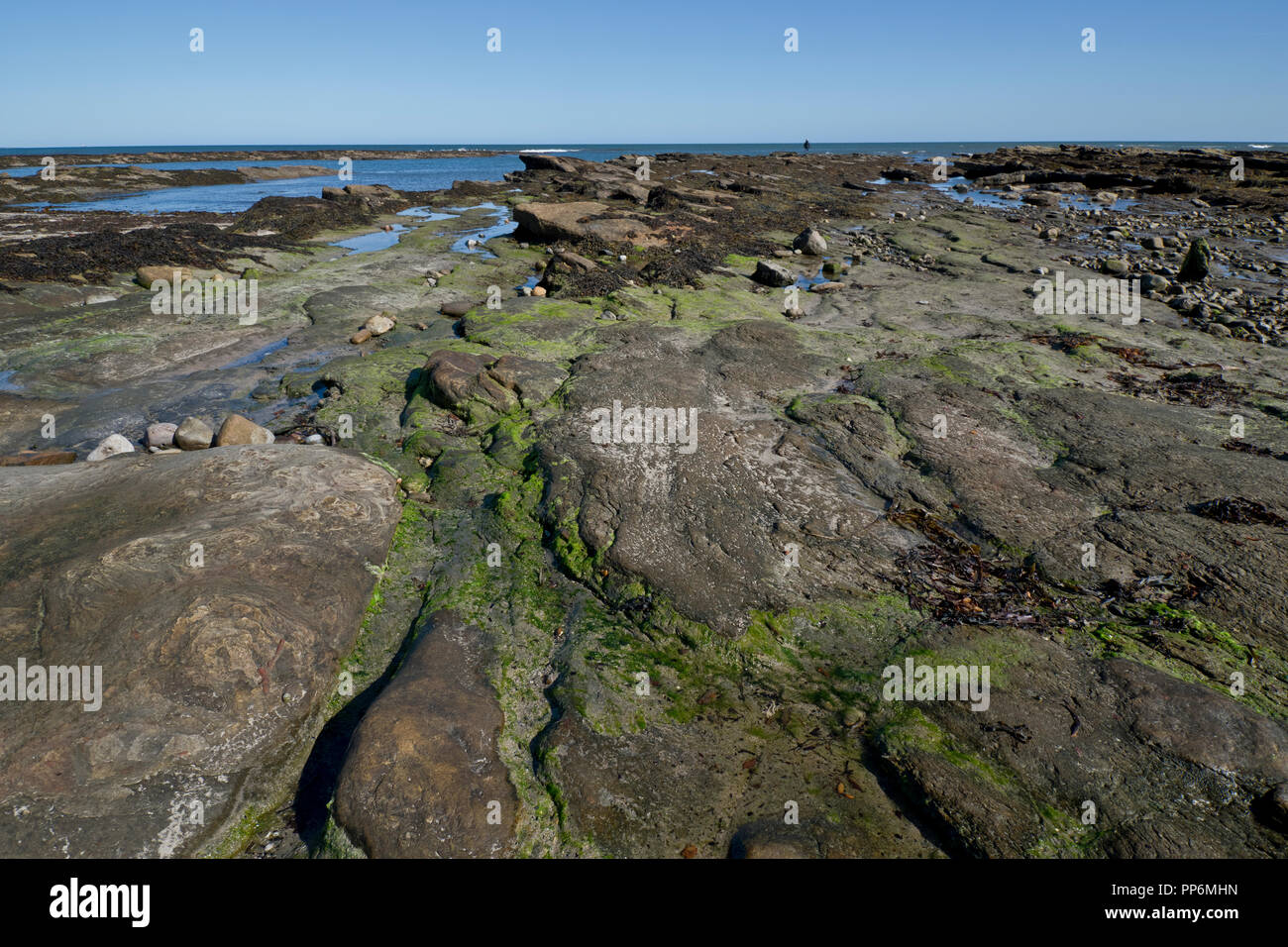 Rock pools rockpools hi-res stock photography and images - Alamy