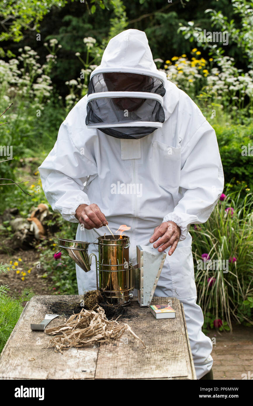 Beekeper wearing protective suit at work, lighting fire in metal smoker ...