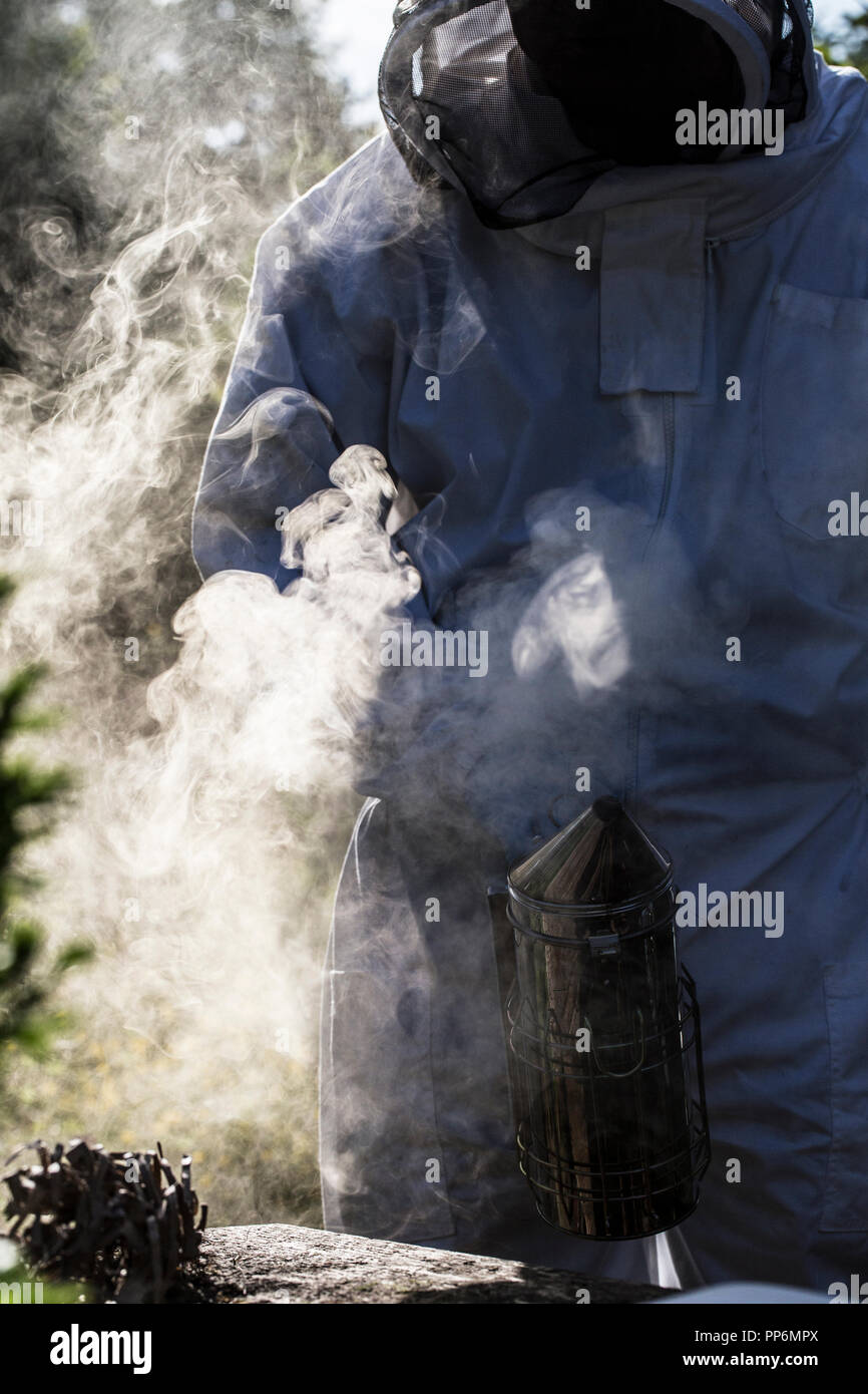 Beekeper with smoker hi-res stock photography and images - Alamy