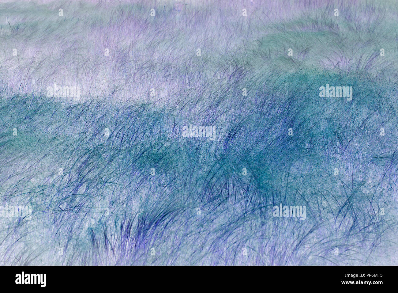 Inverted image photography hi-res stock photography and images - Alamy