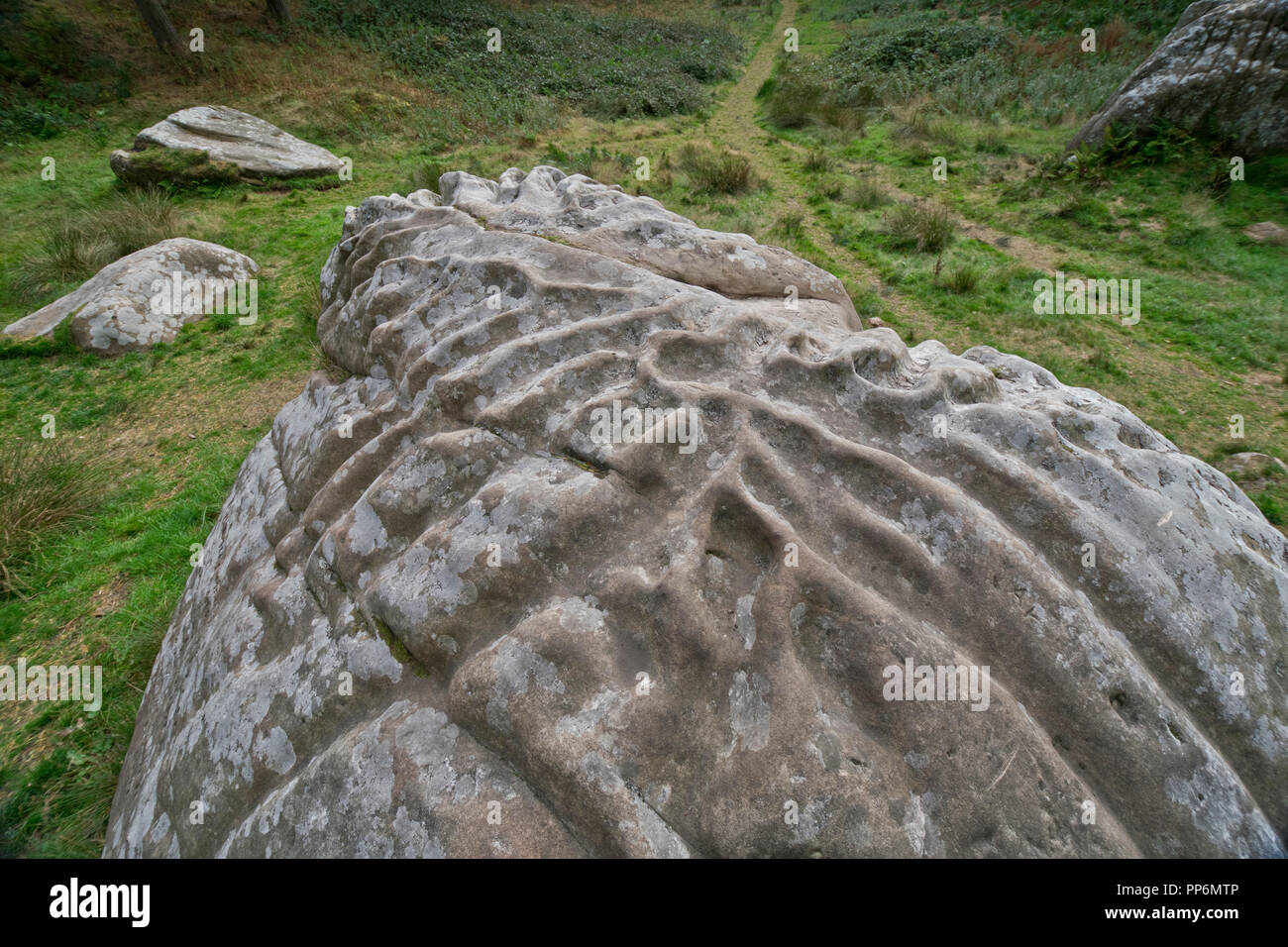 St Cuthbert's Cave, near Lowick, Northumberland Stock Photo - Alamy