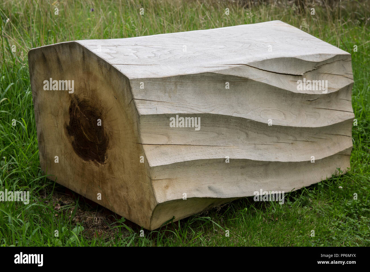 Close up of carved piece of tree trunk with wave pattern lying on grass ...