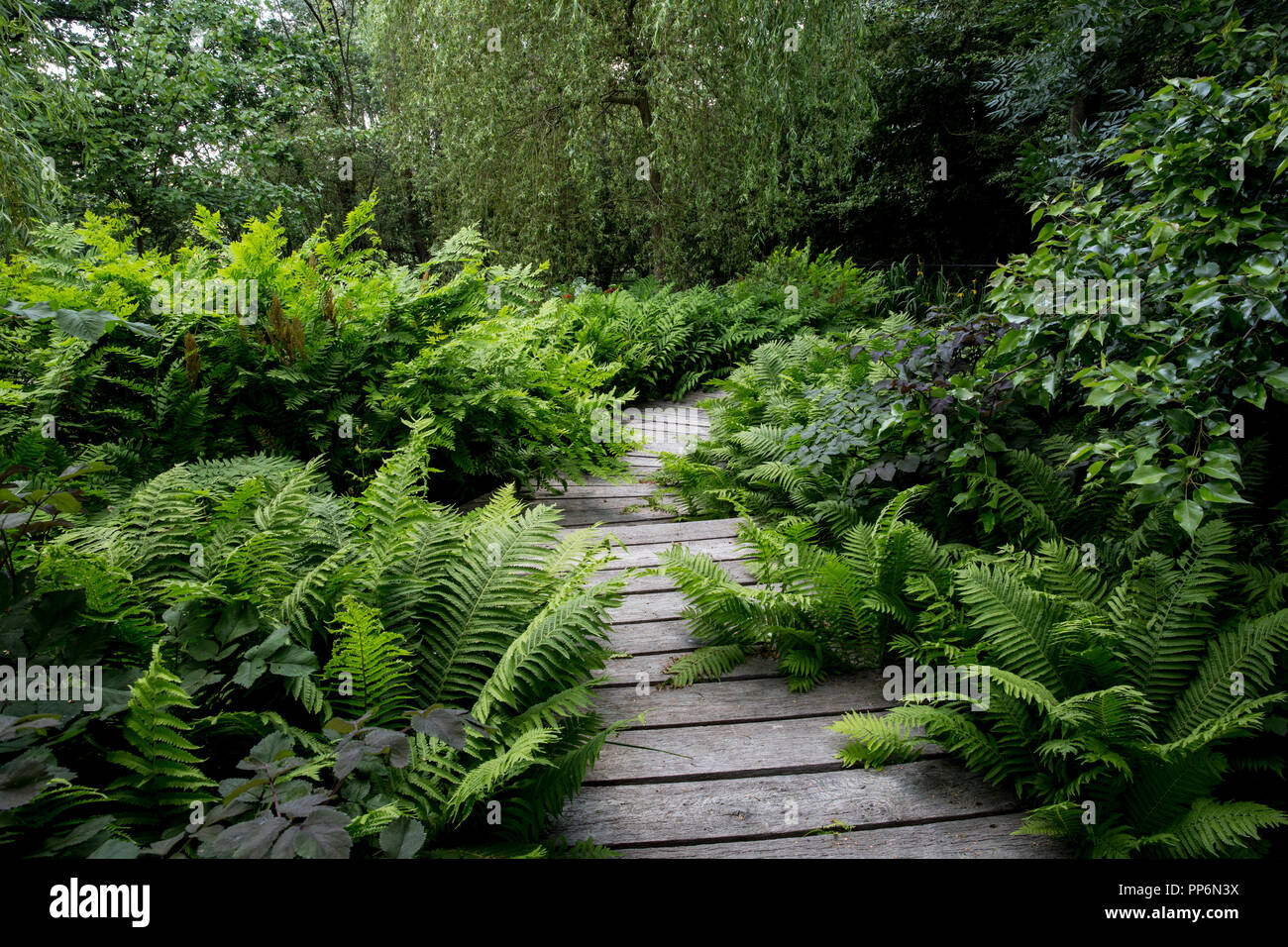 Curved wooden walkway hi-res stock photography and images - Alamy