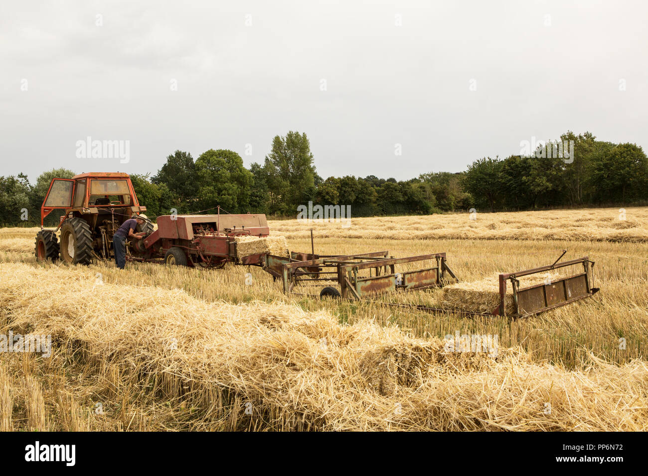 Tractor and straw baler in wheat field, farmer baling straw Stock Photo ...