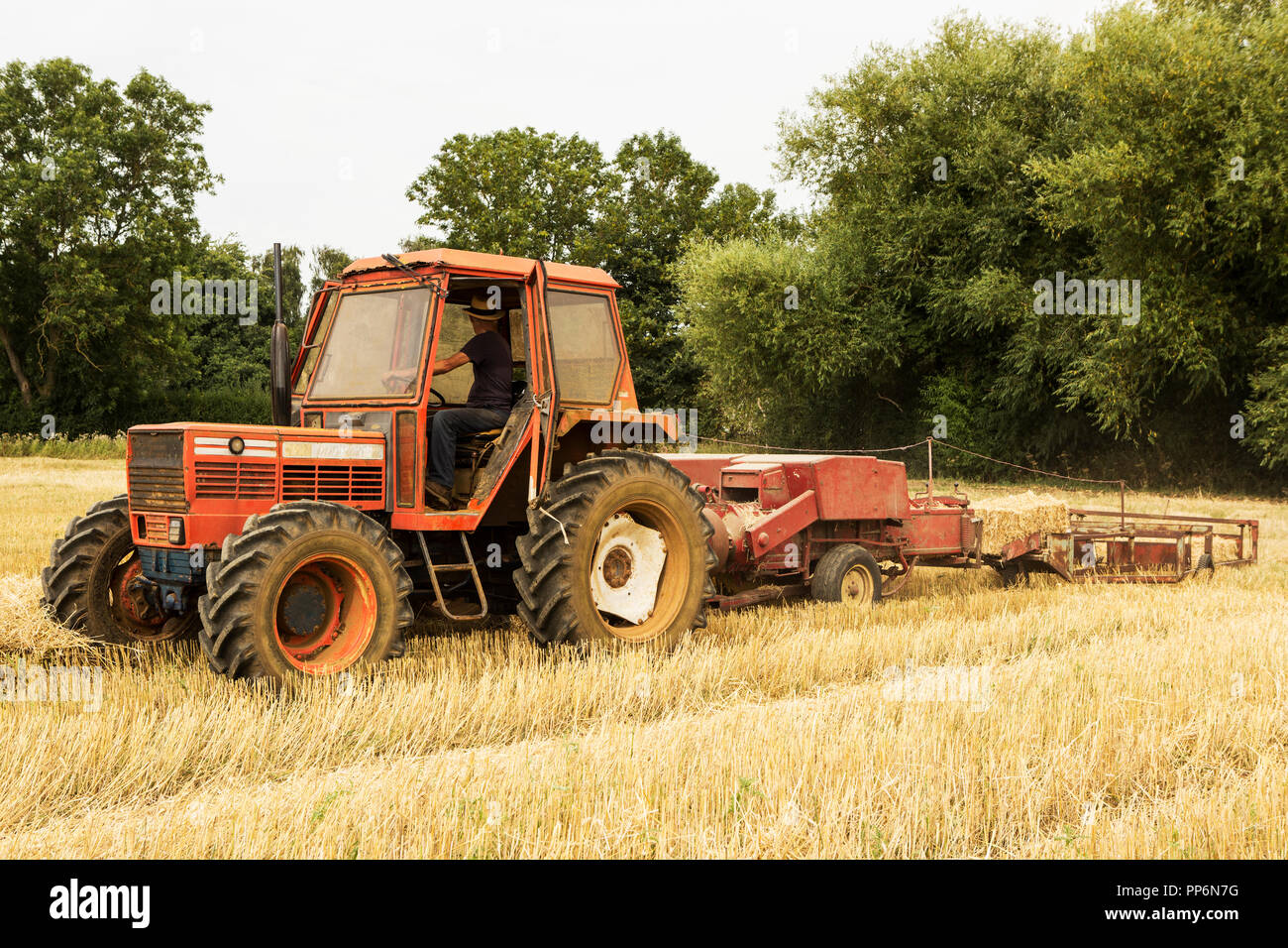 Tractor and straw baler in wheat field, farmer baling straw Stock Photo ...
