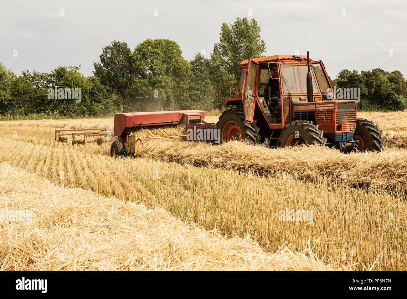 Tractor and straw baler in wheat field, farmer baling straw Stock Photo ...