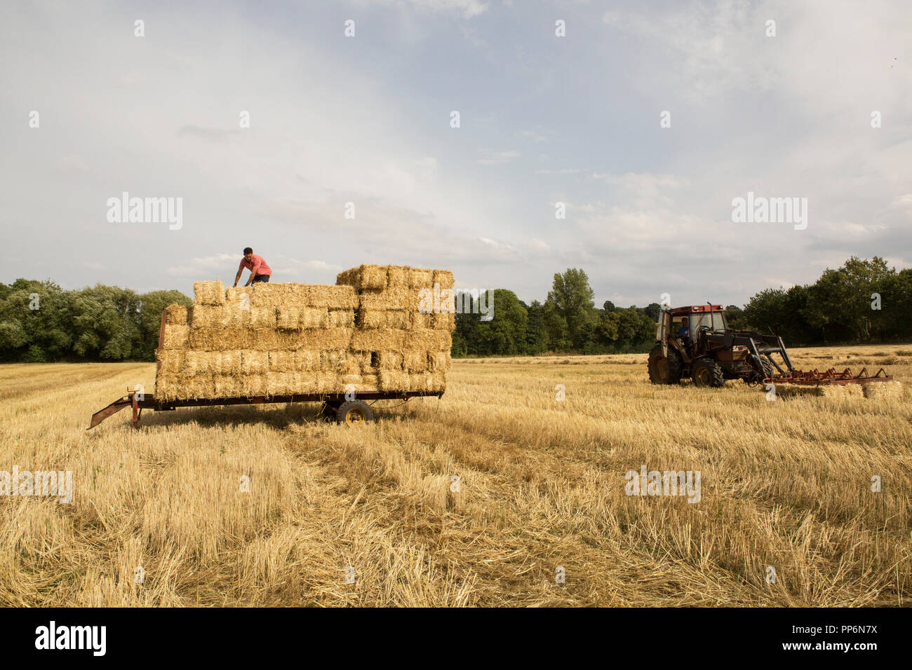 Standing on trailer hi-res stock photography and images - Alamy