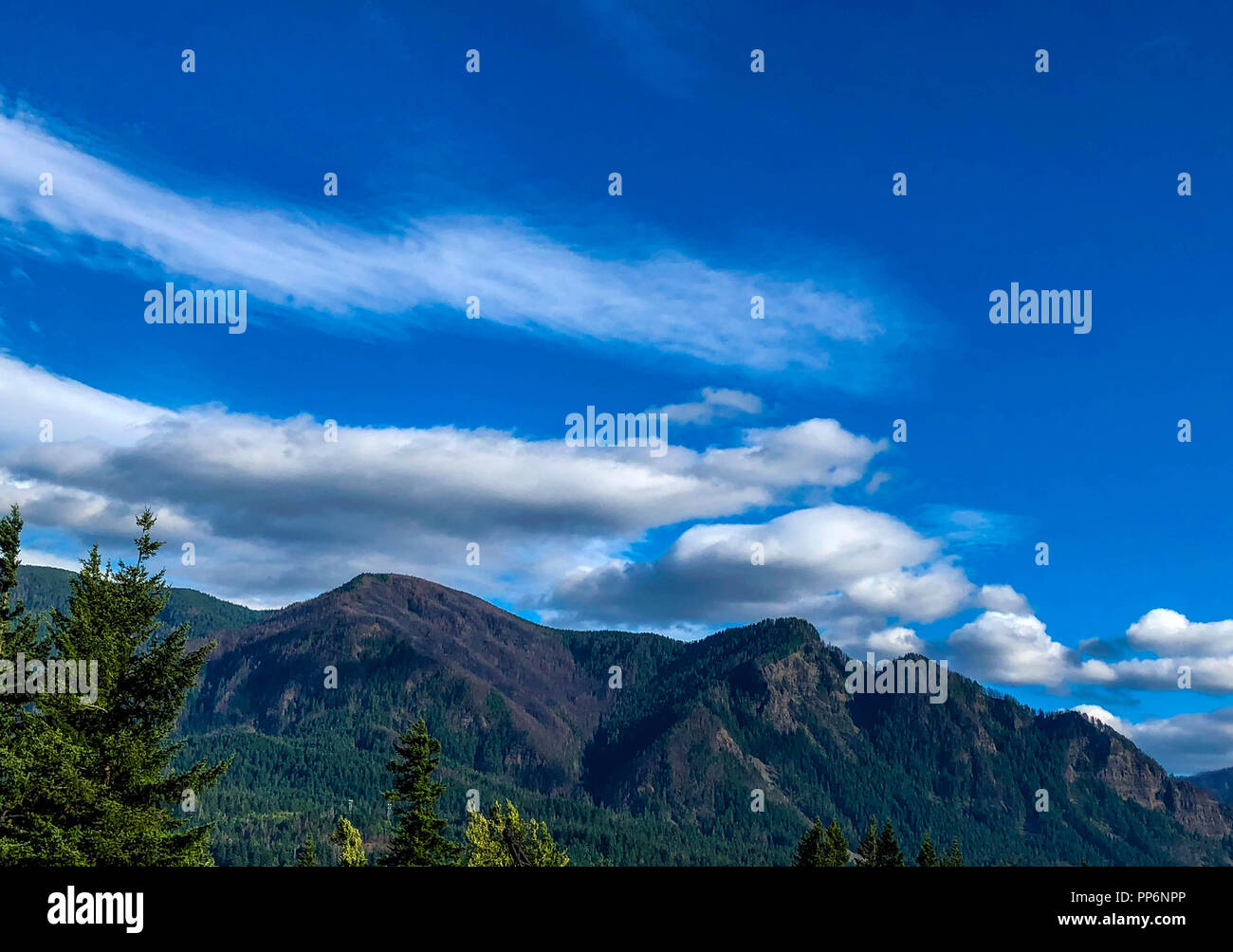 Stevenson wa hi-res stock photography and images - Alamy