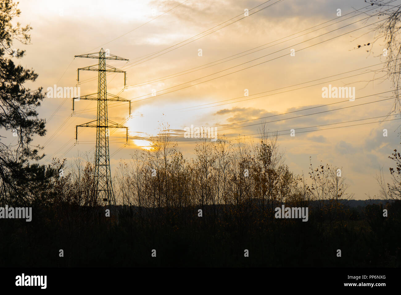 Electric power lines over nature reserve with sunset background Stock ...